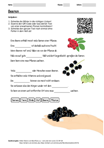 Arbeitsblatt zum Thema "Beeren (einfache Sprache)" | Unterricht.Schule