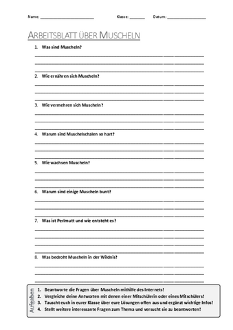 Arbeitsblatt zum Thema "Muscheln" | Unterricht.Schule